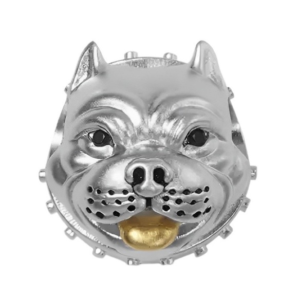 Linx | Jewelry | Pitbull Dog Charm | Poshmark